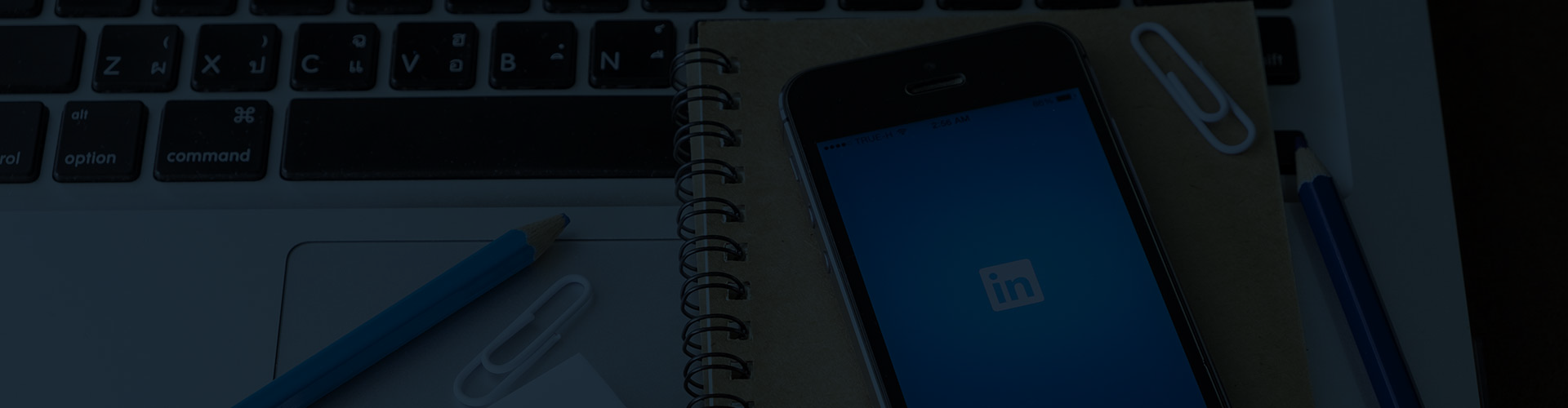 LinkedIn Auto Publish - details LinkedIn Auto Publish - details